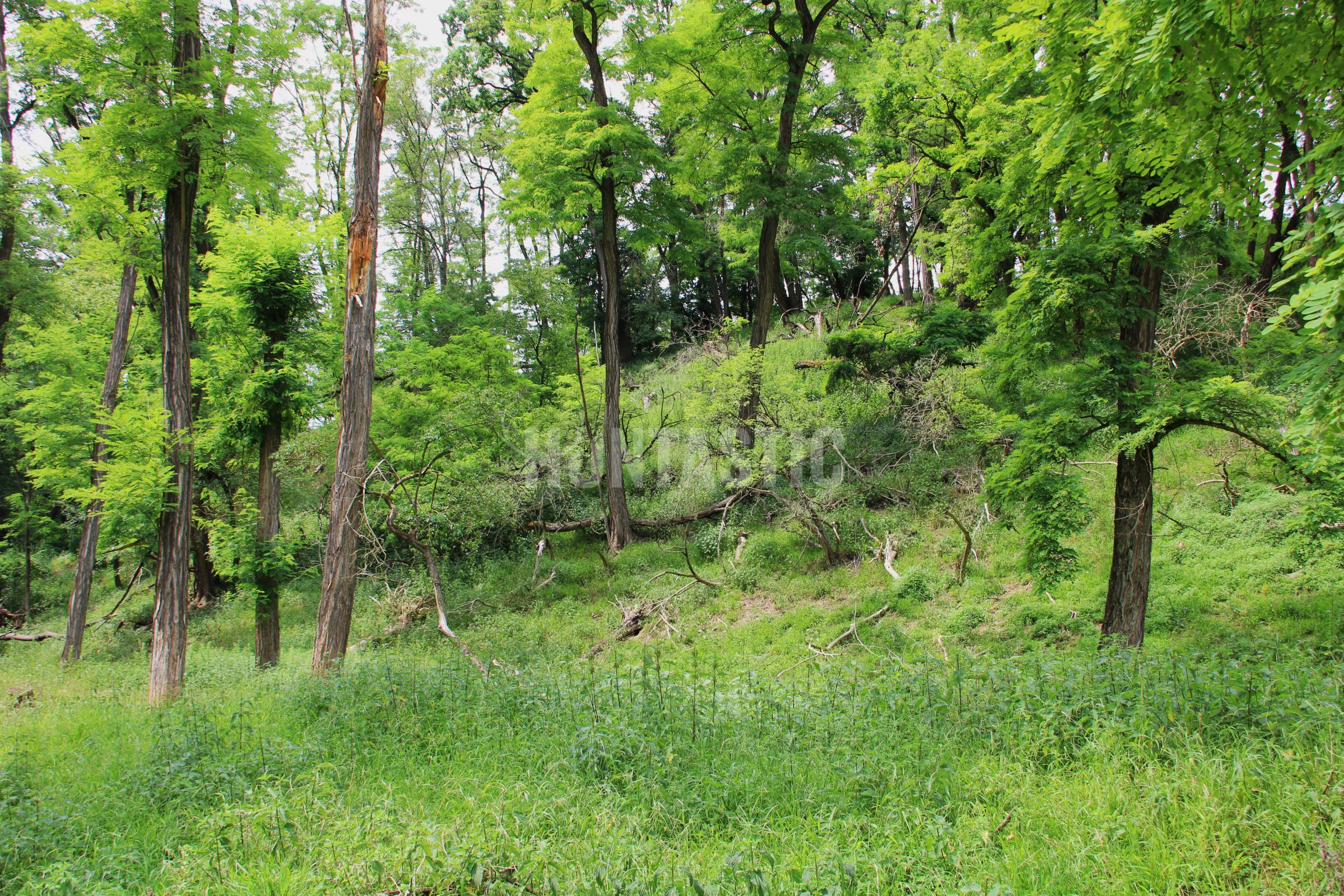 Katalog lovů - Huntastic