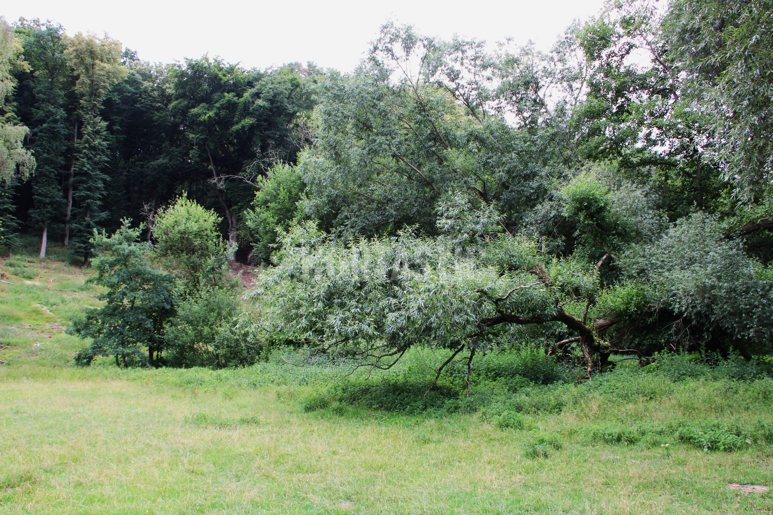 Katalog lovů - Huntastic