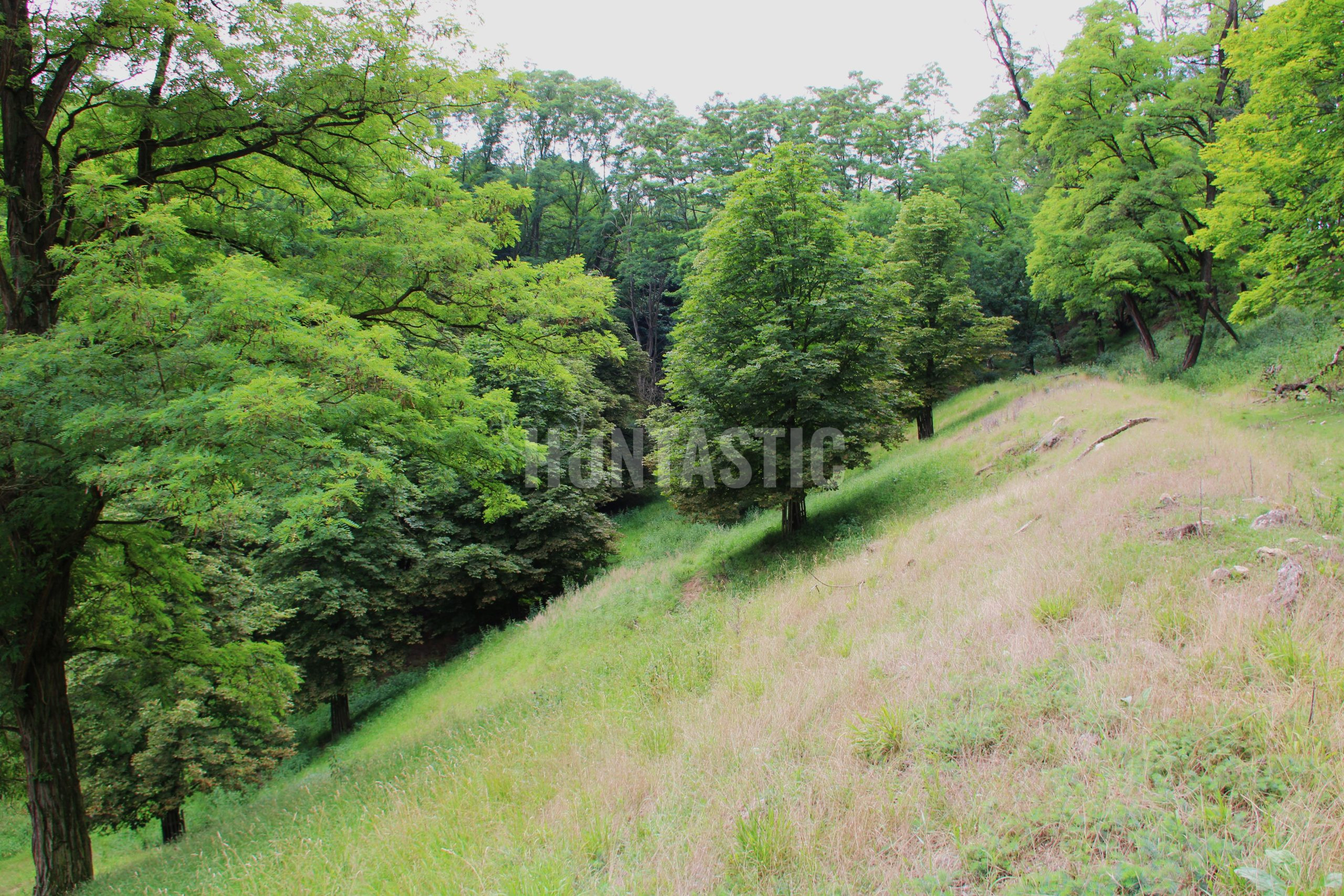 Katalog lovů - Huntastic