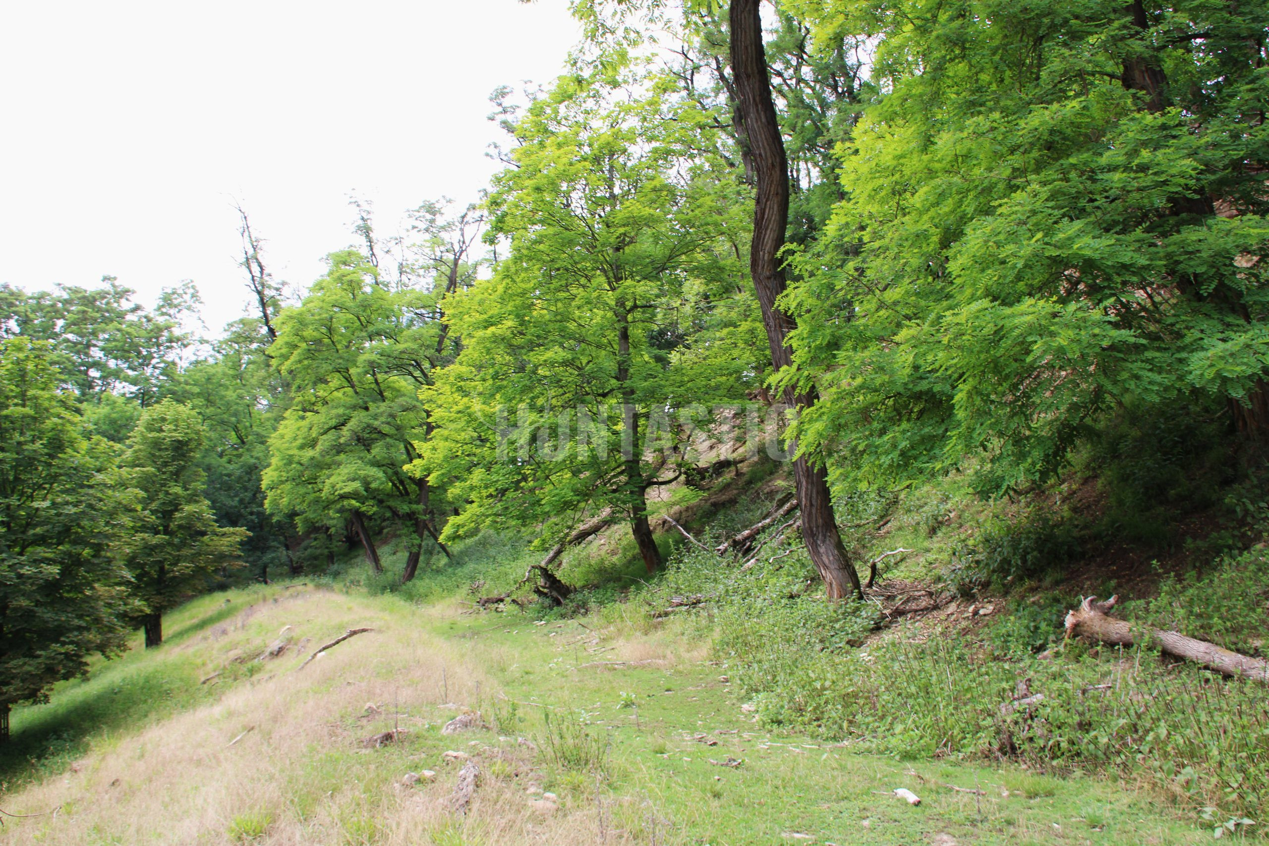 Katalog lovů - Huntastic