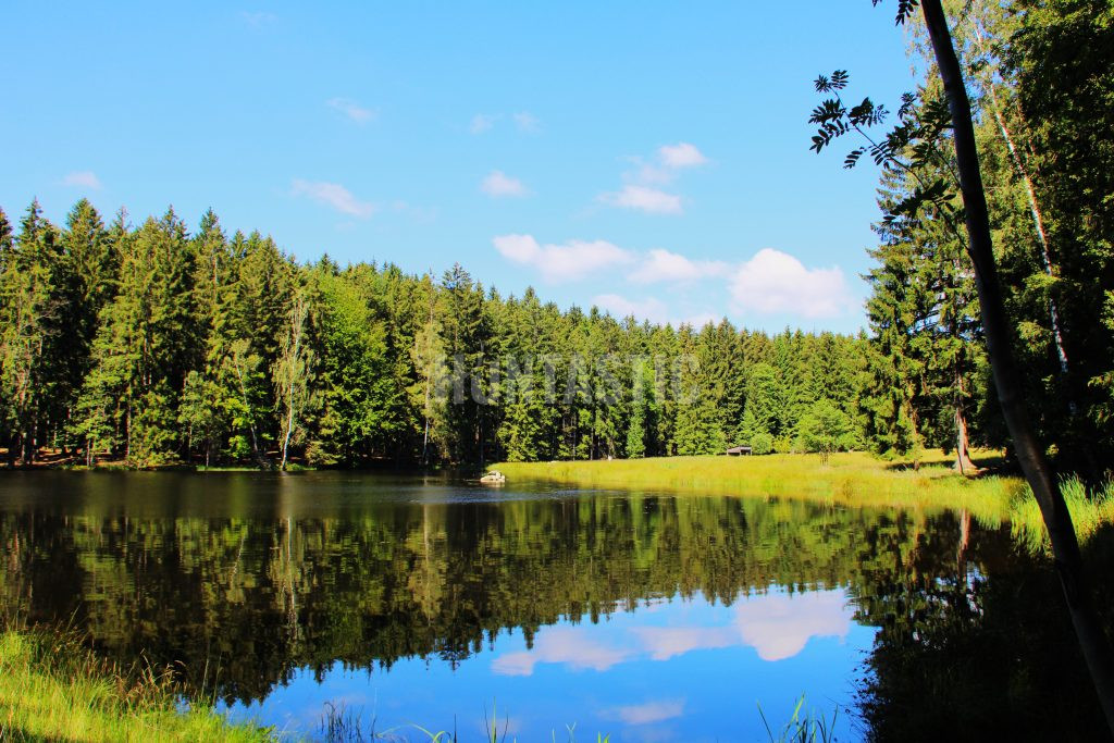 Honitby -fotogalerie a popis lokalit lovu - Huntastic