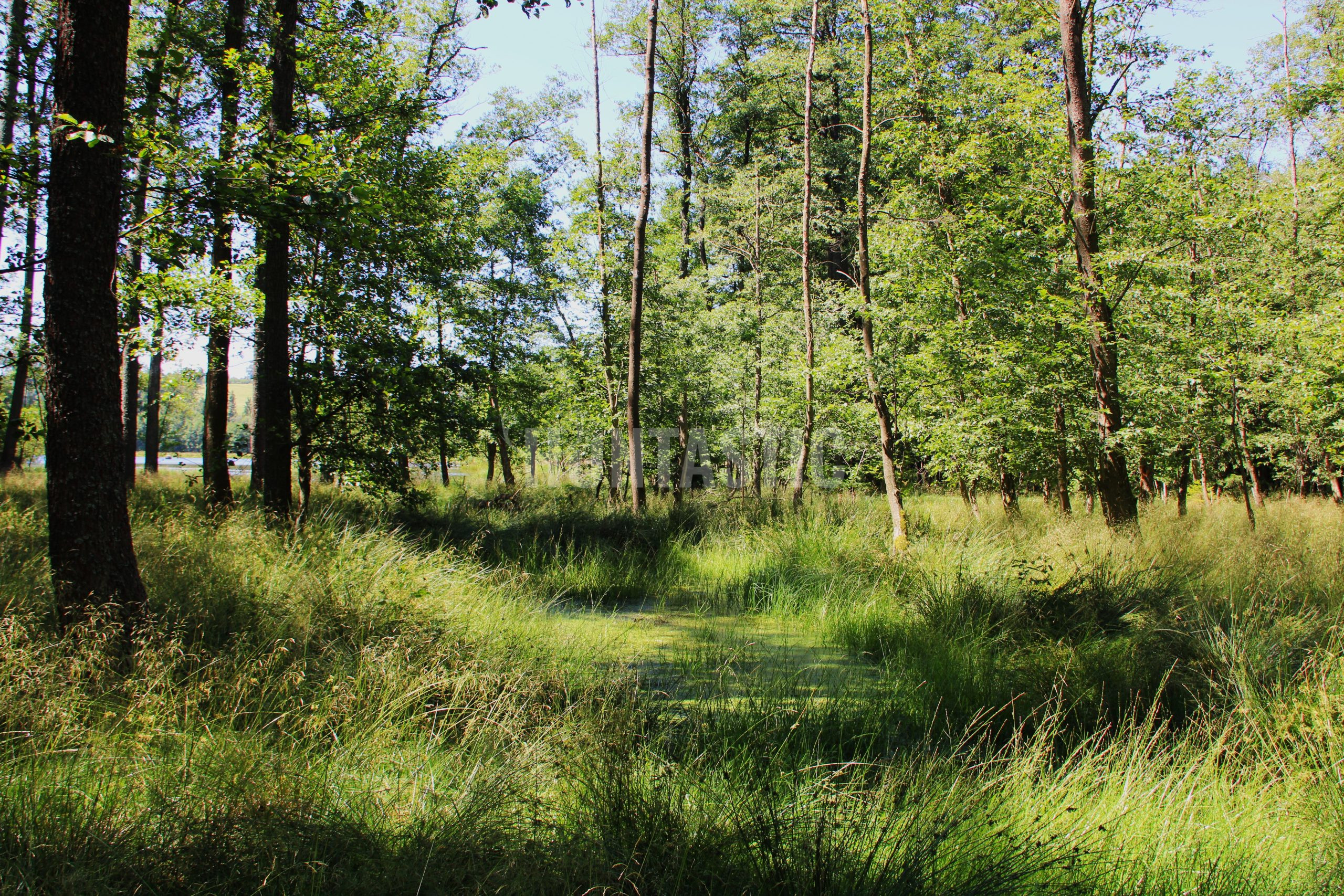 Huntastic - najdi si své místo k lovu